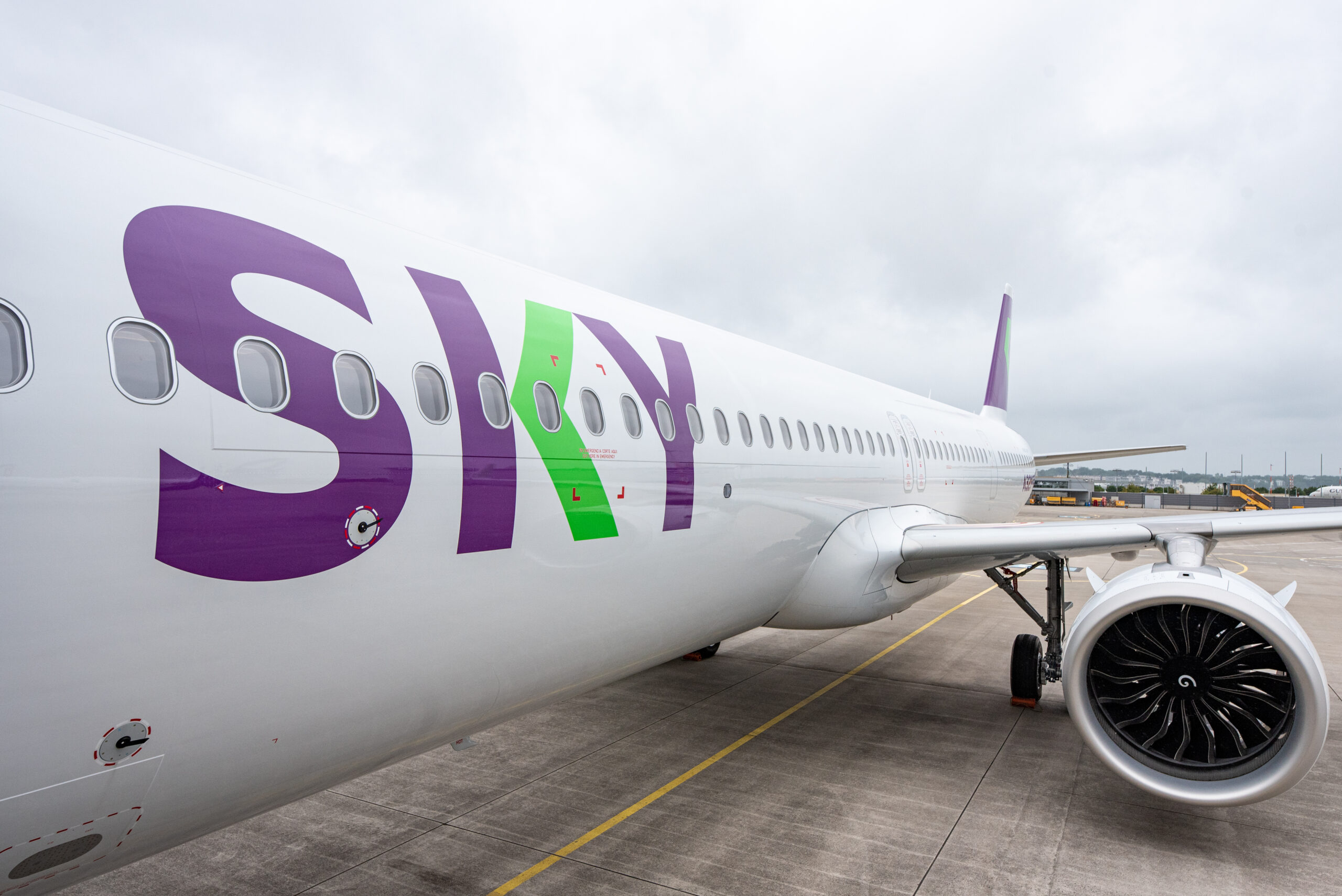 Programa de fidelidad de SKY Airline alcanza 500 mil usuarios ...