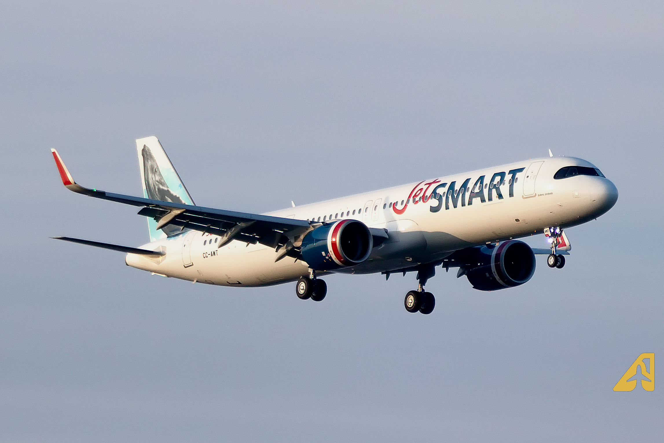 JetSMART boosts flights between Argentina and Chile – Aviacionline