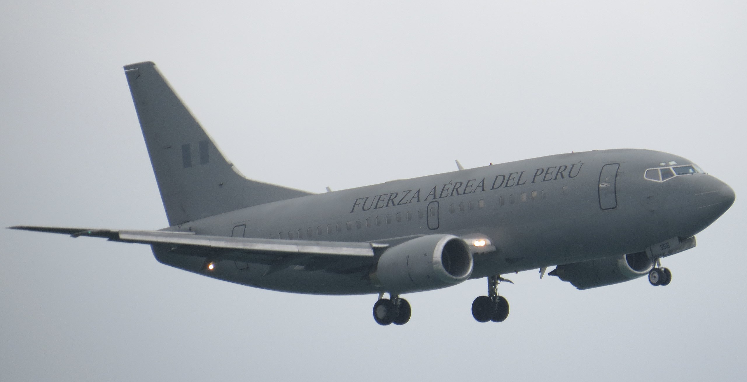 The Peruvian Air Force wants to incorporate two Boeing 737 NG airliners ...