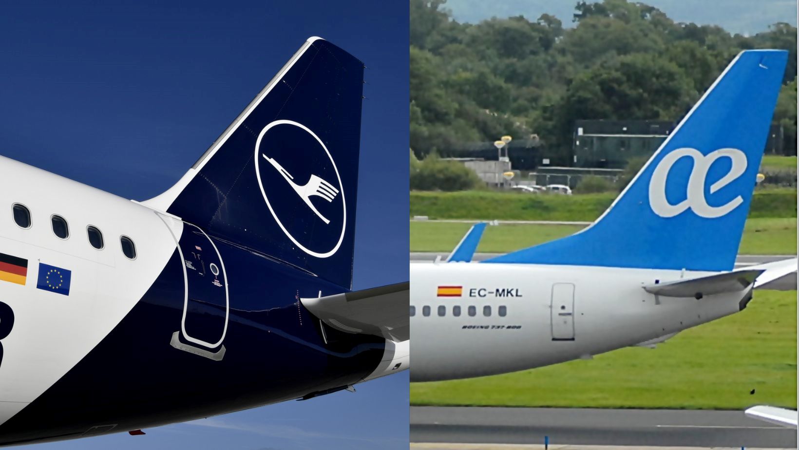 Lufthansa se baja de la compra de Air Europa y Turkish Airlines queda ...